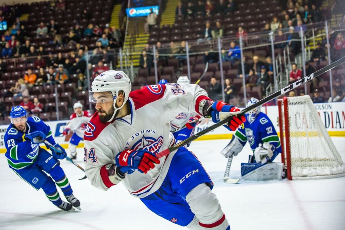 Coventry Blaze sign former Maple Leafs forward – UK Hockey Blog